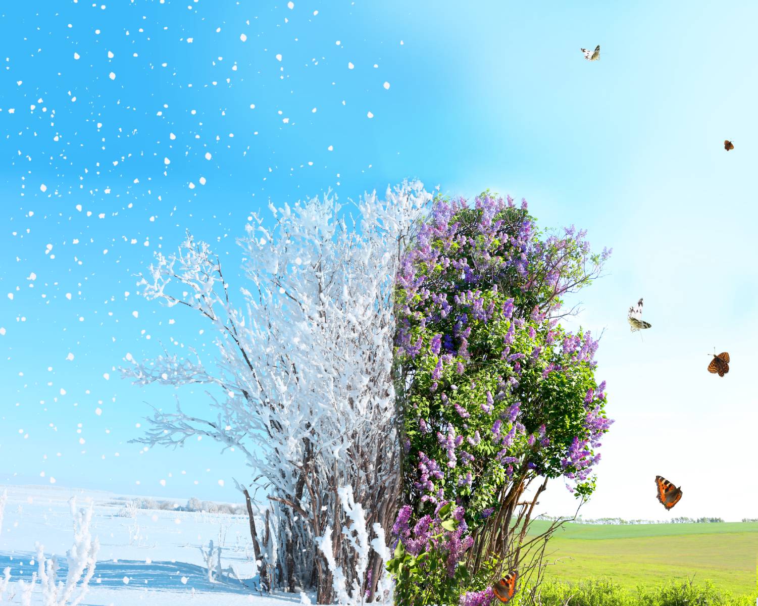 Spring of Change - Grit